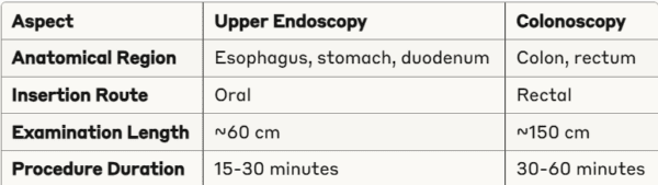 Endoscopy and Colonoscopy: The Complete Guide to Understanding ...